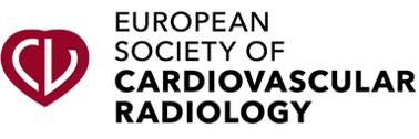 Hands-on Cardiac CT Course - Cardiovascular Imaging